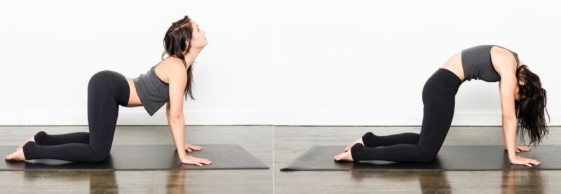 Tư thế con mèo con bò giúp giảm đau lưng và nhiều lợi ích khác